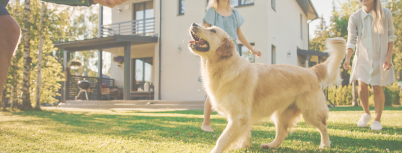 Smart Home Lifestyles | Sublime Technologies